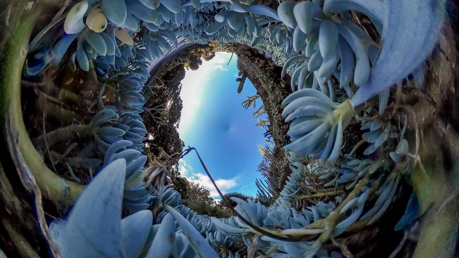 Tiny Planet Photography with the Ricoh Theta SC2 | Ricoh Imaging Australia